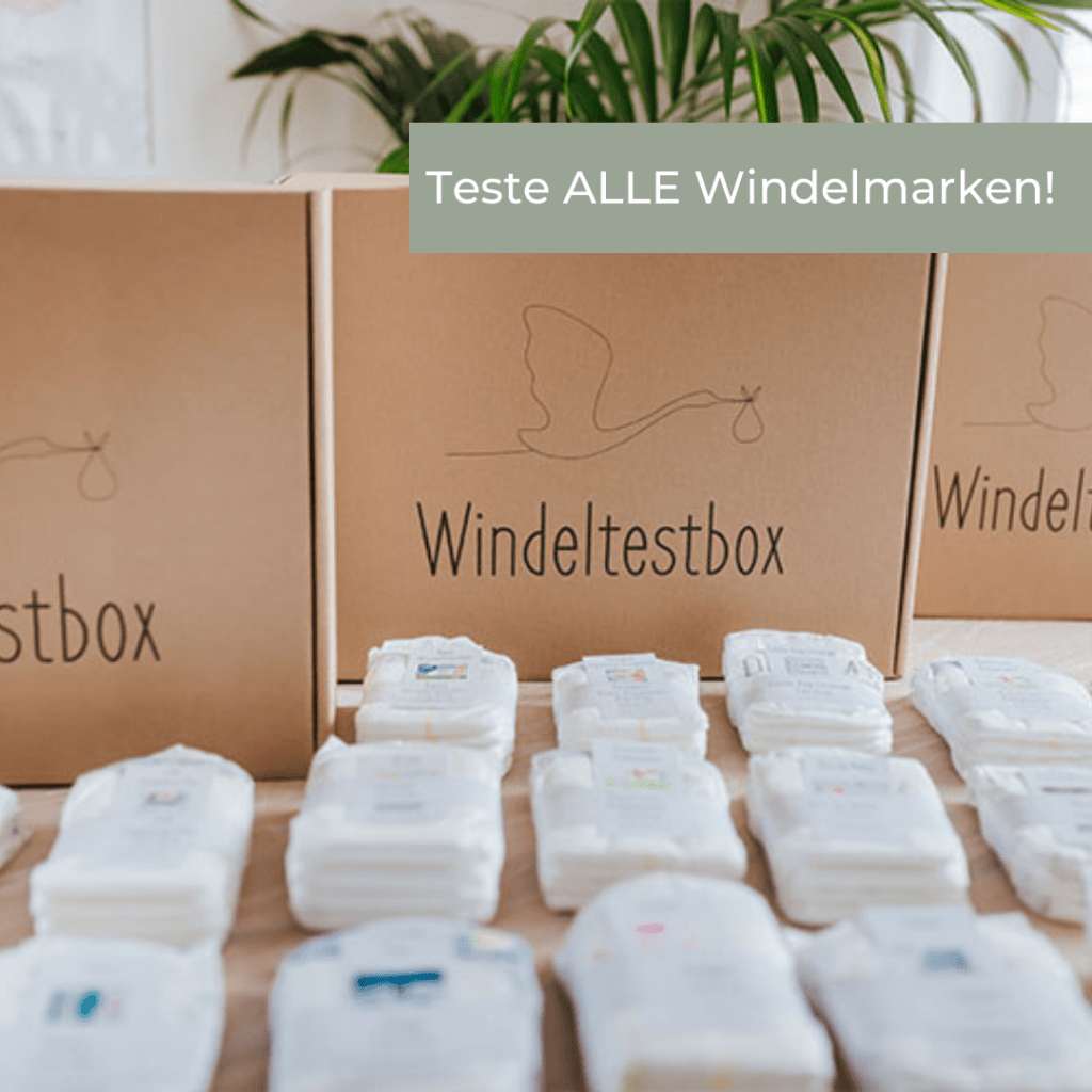 Windeltestbox.de: Die Lösung für deine Windelprobleme | Kidsroom.de ...